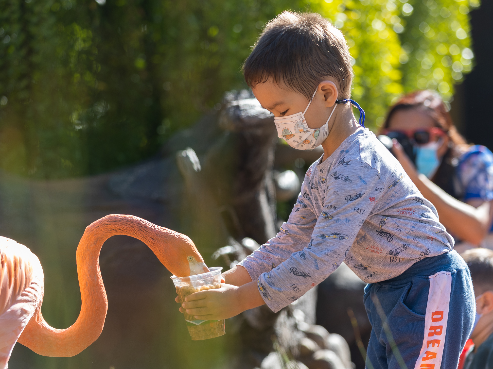 It's back! Expanded Junior Museum and Zoo to reopen on Nov. 12 ...