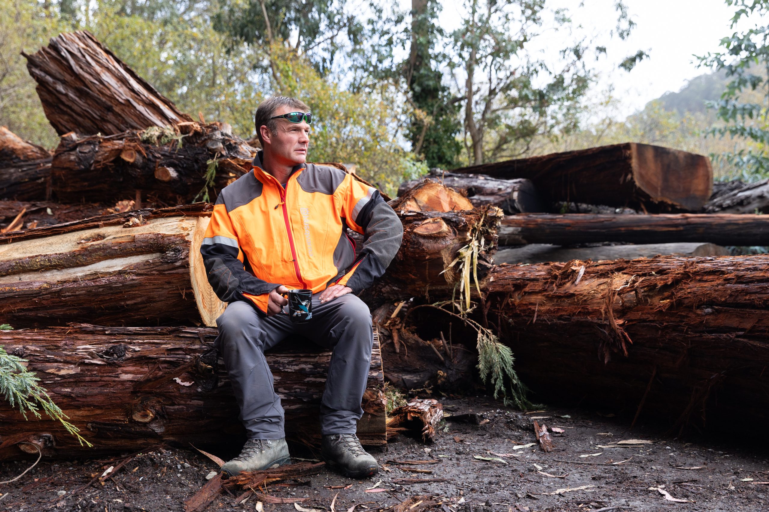 A Half Moon Bay lumber yard gives new life to reclaimed wood - Mountain ...