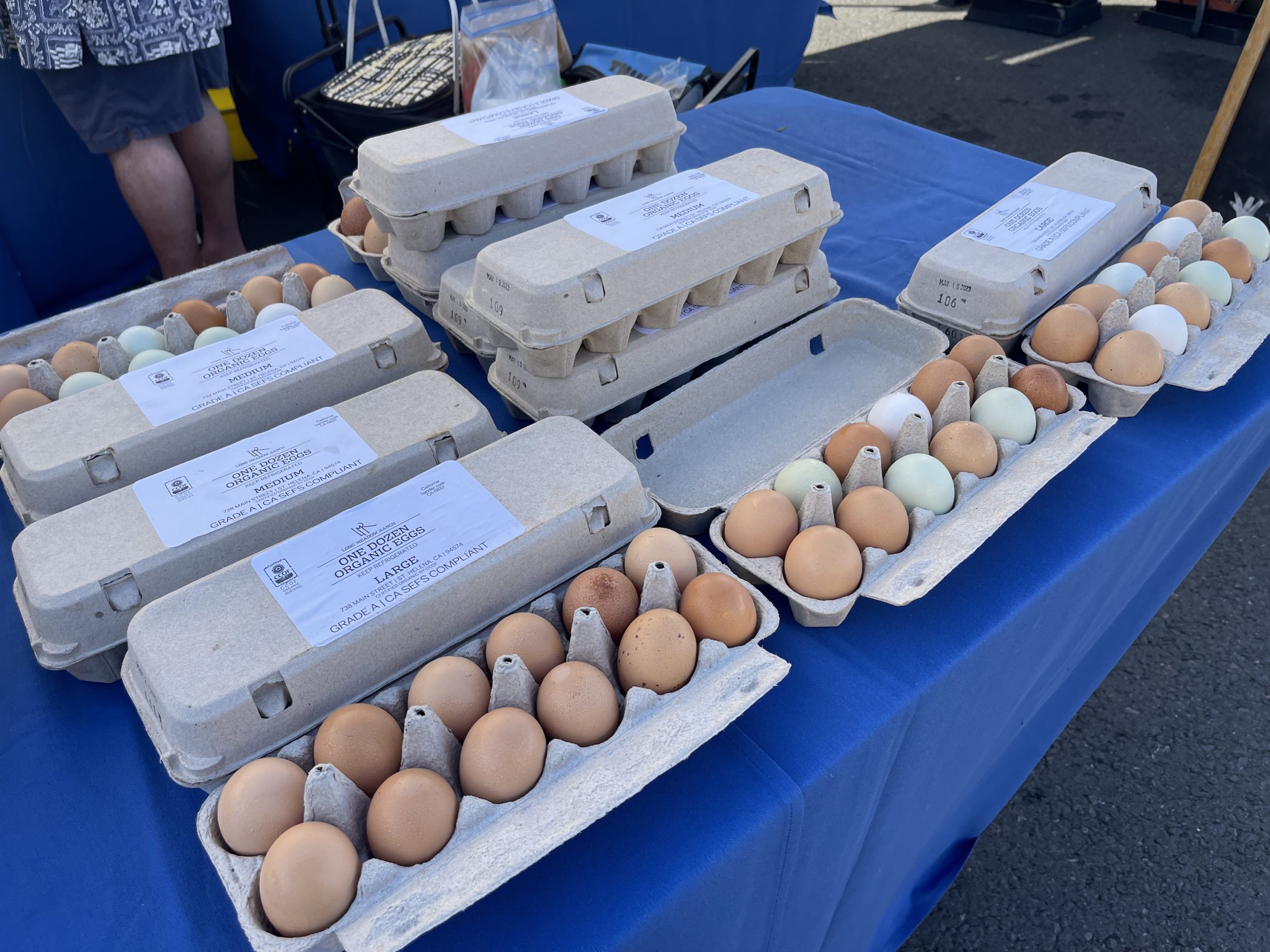 Where are the eggs? How shortages reflect a contagion - Mountain View Voice