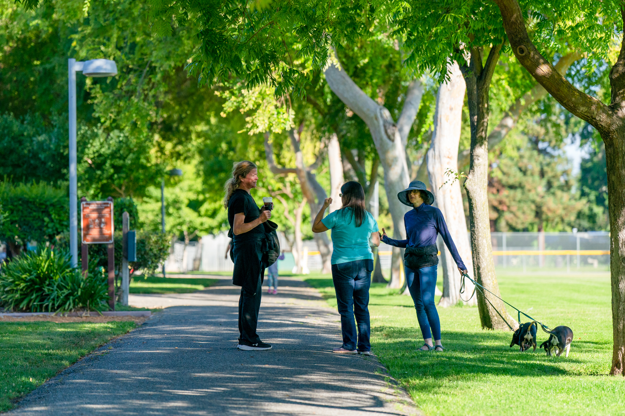 Mountain View looks to build 'mini-park' in Monta Loma neighborhood ...